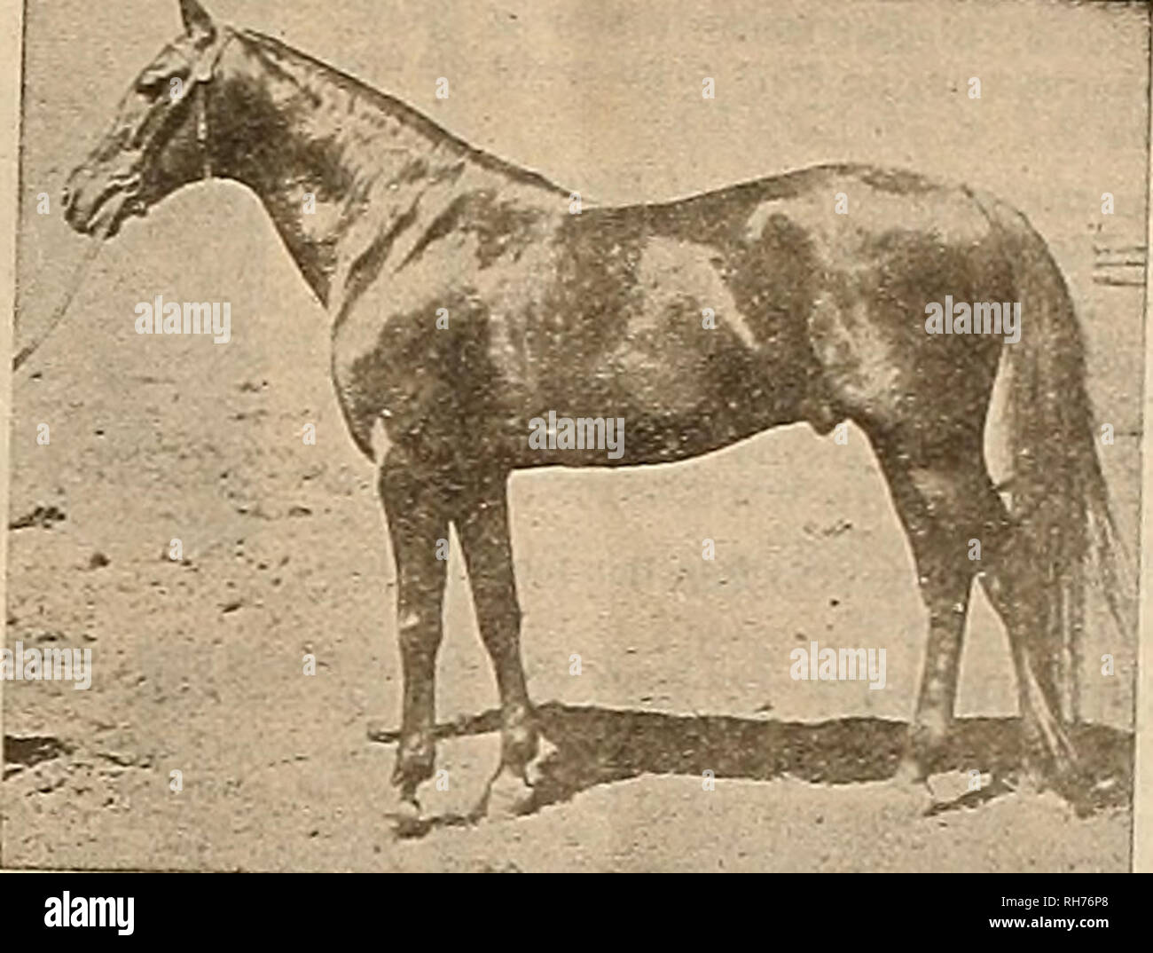 George j tribe hi-res stock photography and images - Alamy