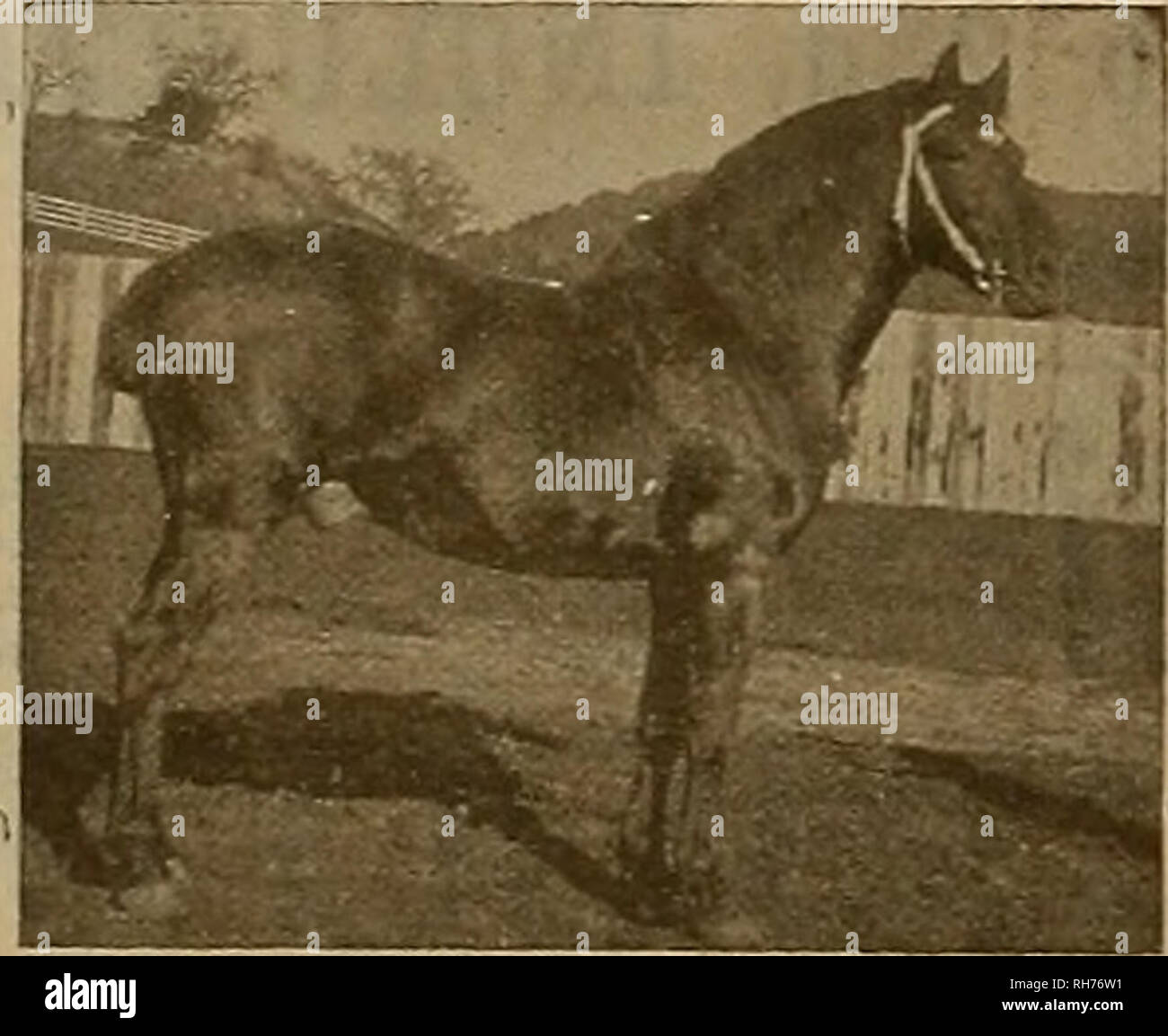 Thompson 63 co hi-res stock photography and images - Alamy