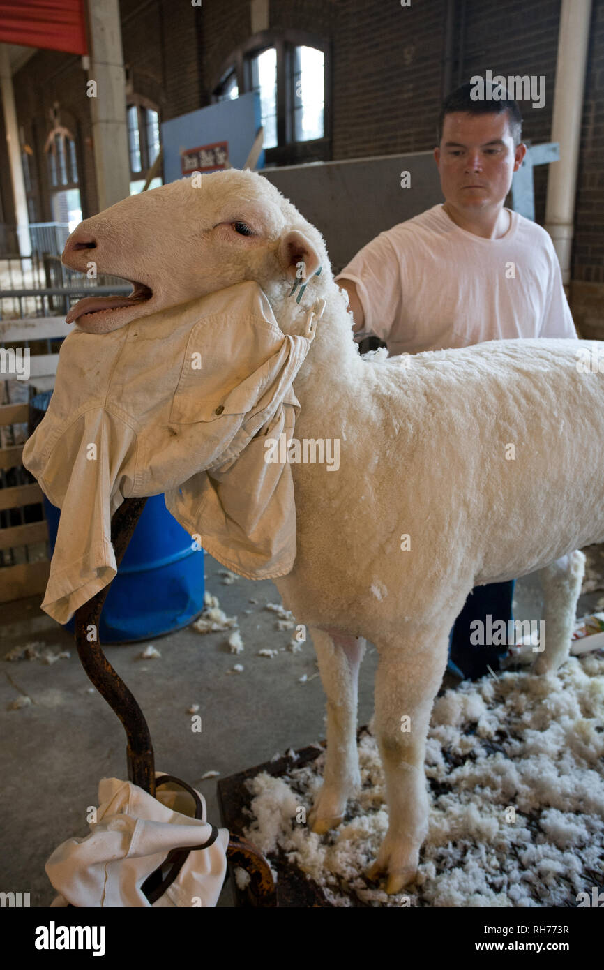 Sangamon illinois hi-res stock photography and images - Alamy