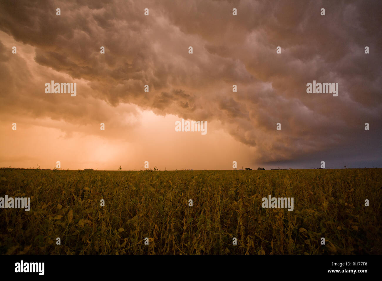 , Logan County, Illinois, USA Stock Photo - Alamy