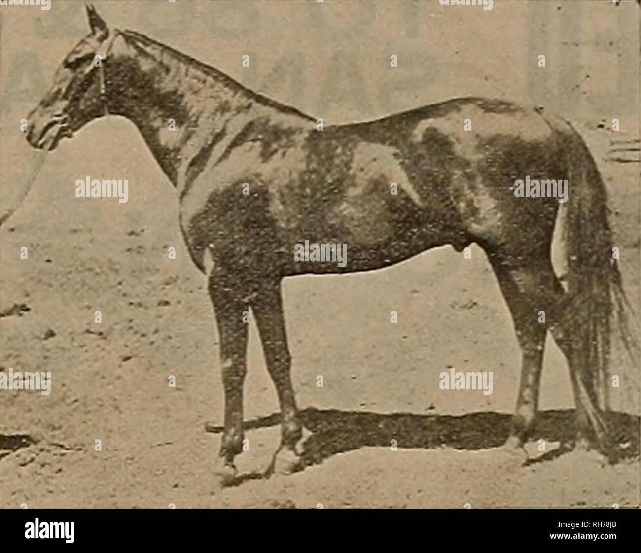 3 12 year olds hi-res stock photography and images - Alamy