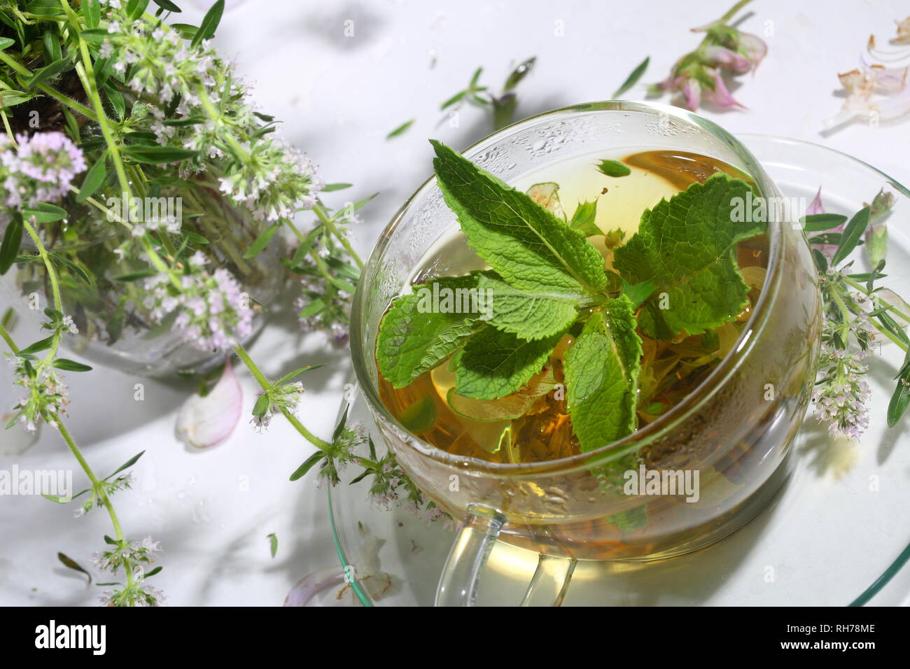 Tea with mint on a white background Stock Photo - Alamy