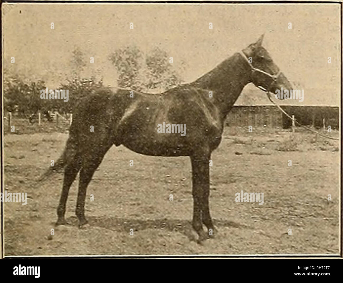 Grace jones bond hi-res stock photography and images - Alamy