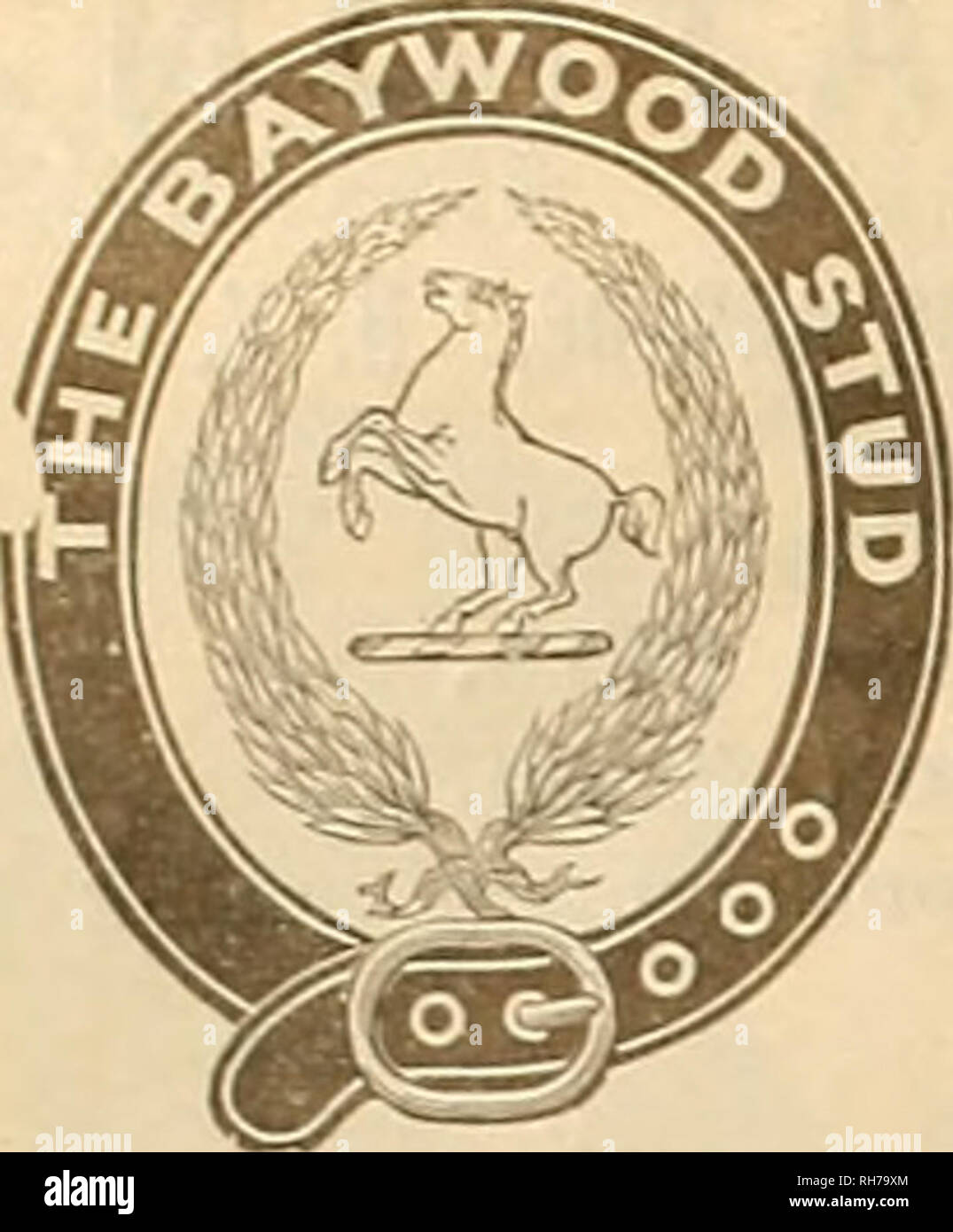 Ebq hi-res stock photography and images - Alamy