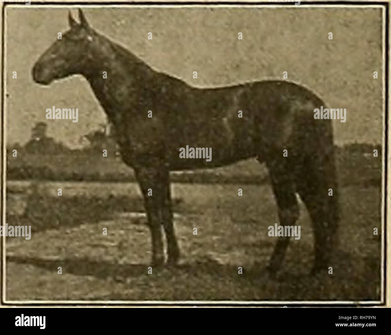. Breeder and sportsman. Horses. Ambush(3) 2:14i Delilah (3) 2:14 ...