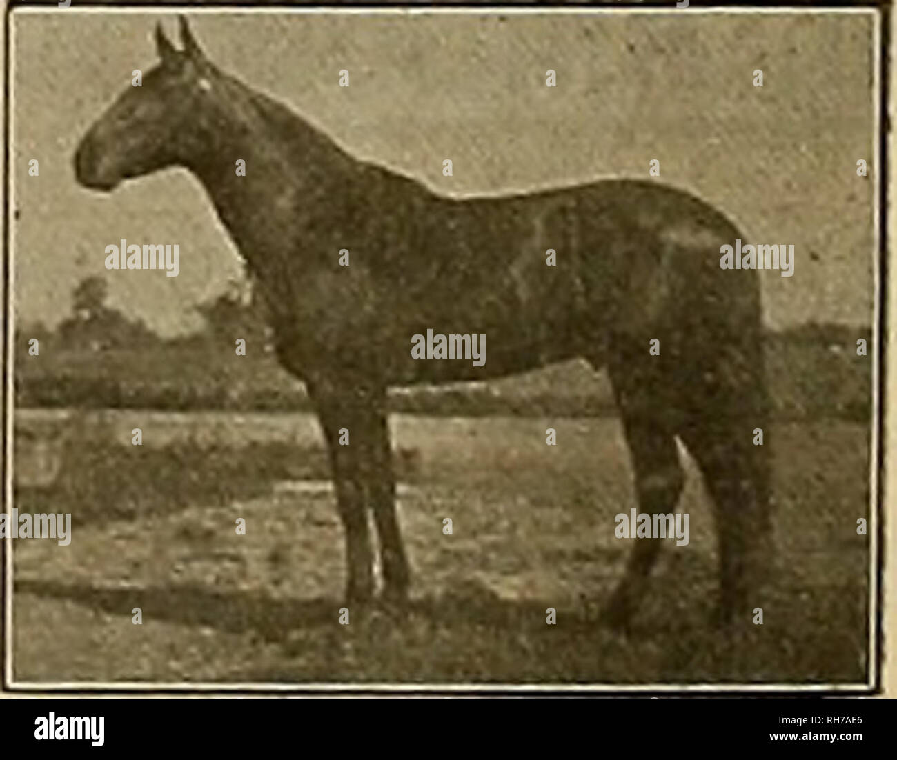 Bonnie kinney hi-res stock photography and images - Alamy