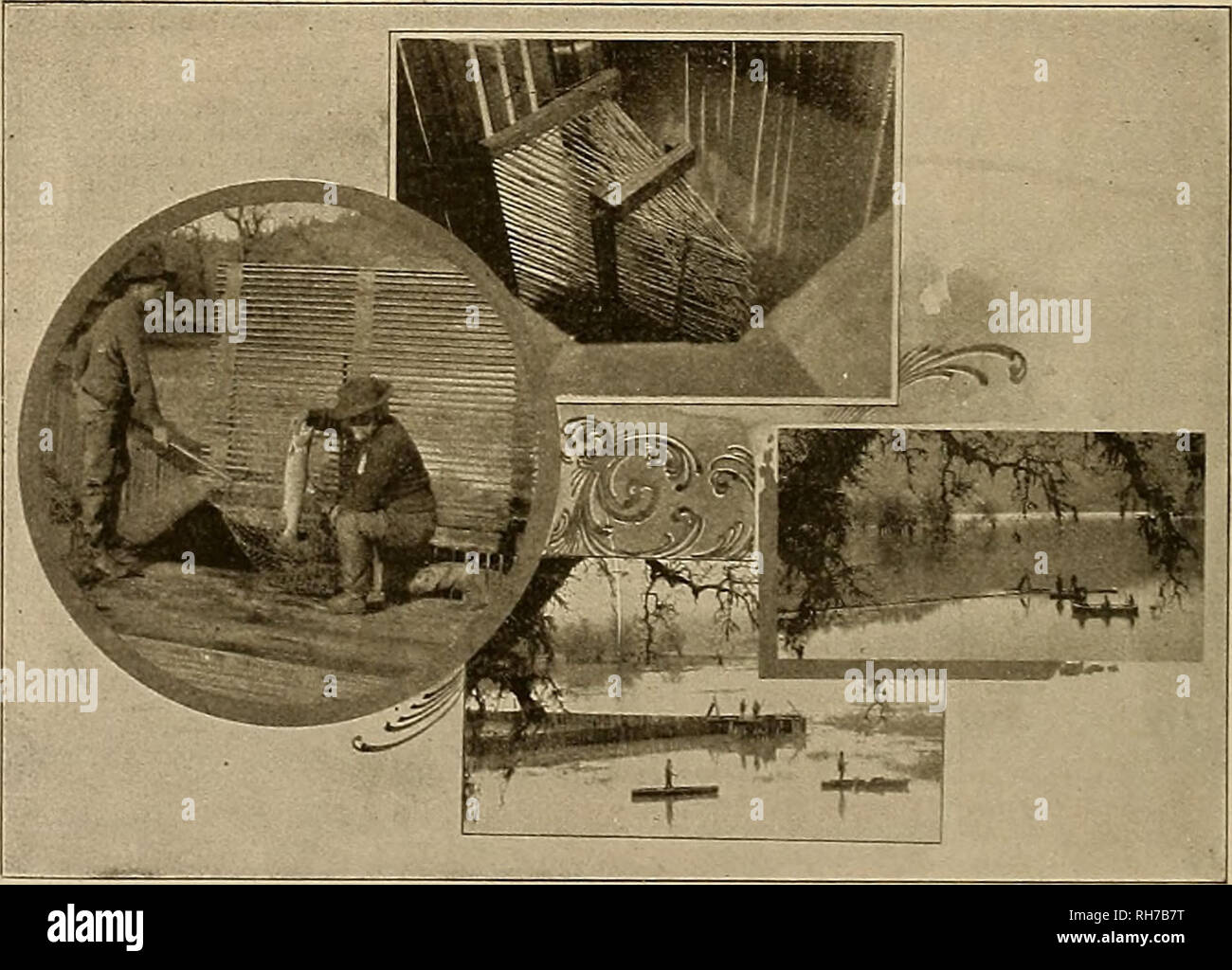 Winged rabbit hi-res stock photography and images - Alamy