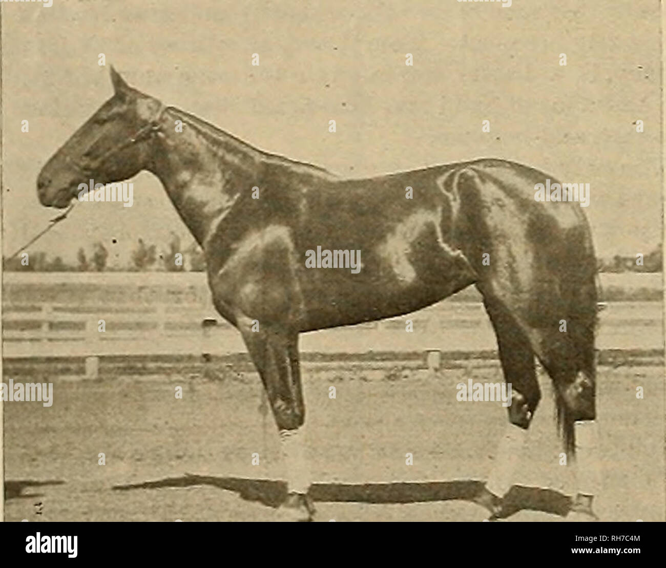 Mark walter judge hi-res stock photography and images - Alamy