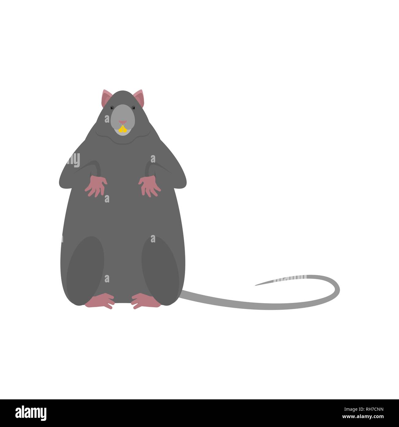 Gray mouse isolated. Little Rat vector illustration Stock Vector Image ...