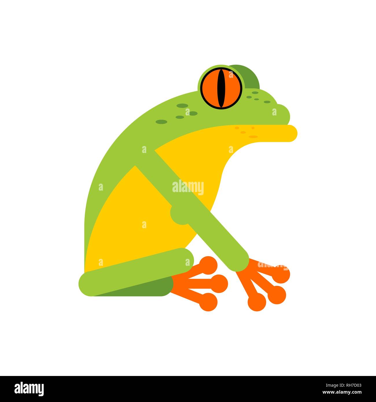 Tree frog isolated. Tropical amphibian vector illustration Stock Vector ...