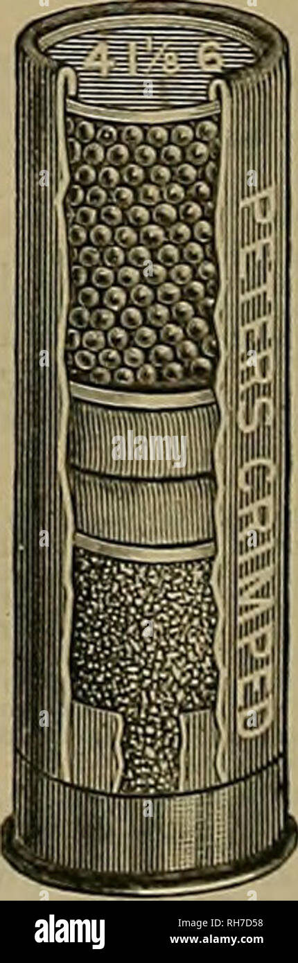 . Breeder and sportsman. Horses. It is a marvelous preparation for ...