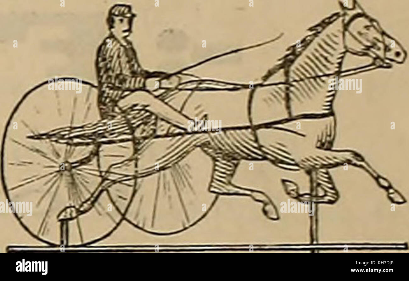 . Breeder and sportsman. Horses. Valensin Stock Farm Stallions, SIDNE3Y ...