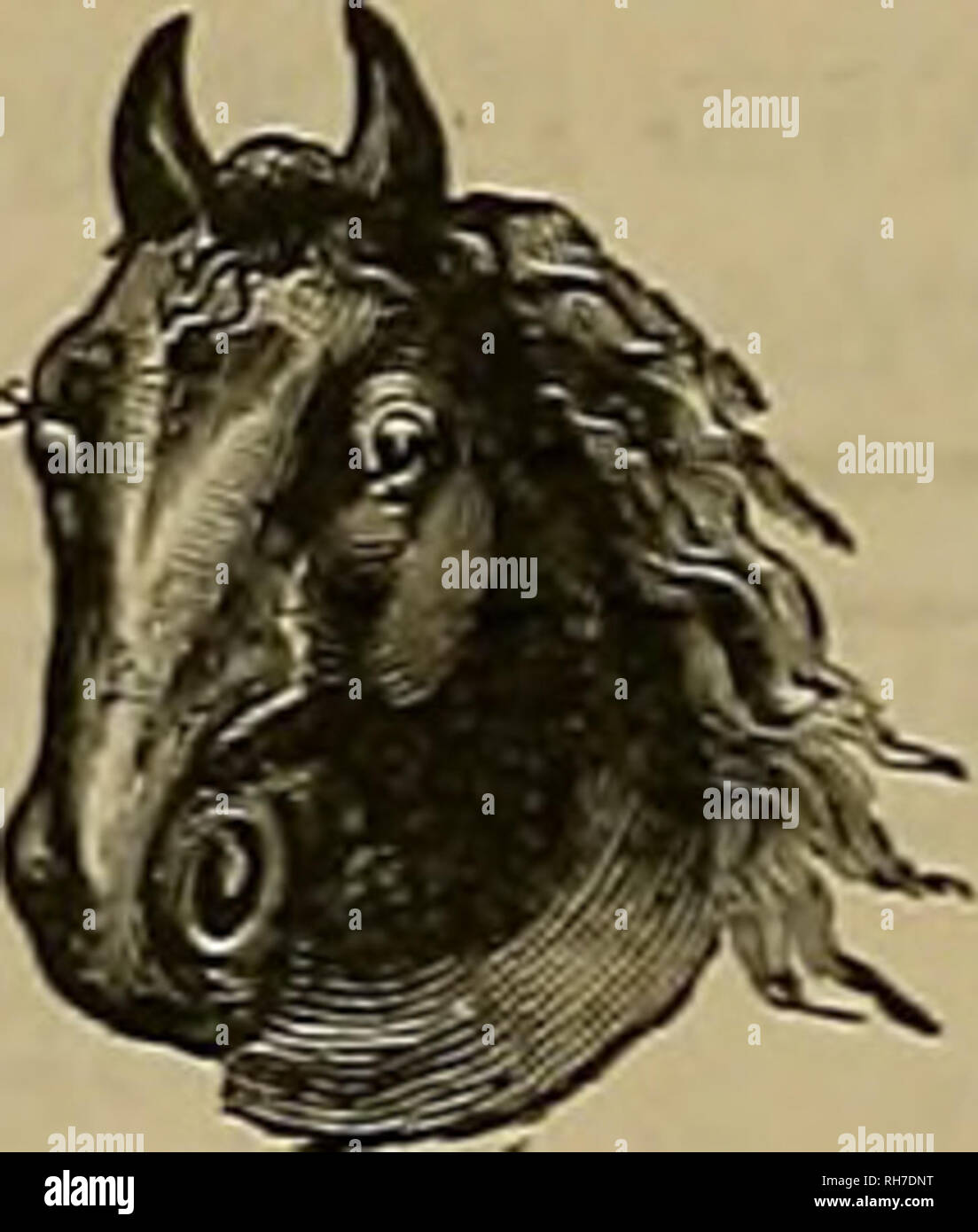 Liniment ad hi-res stock photography and images - Alamy