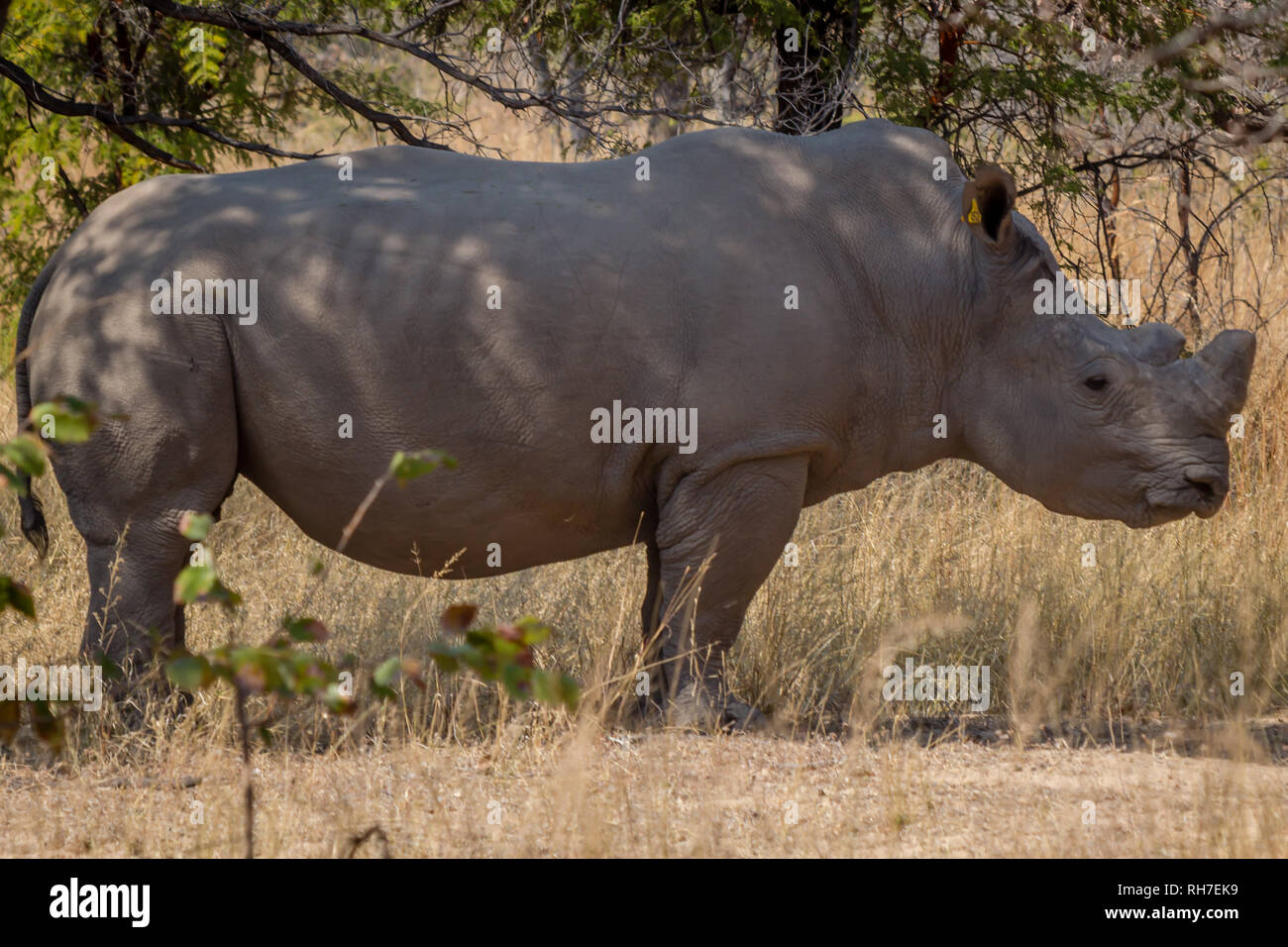 Matopos hi-res stock photography and images - Alamy
