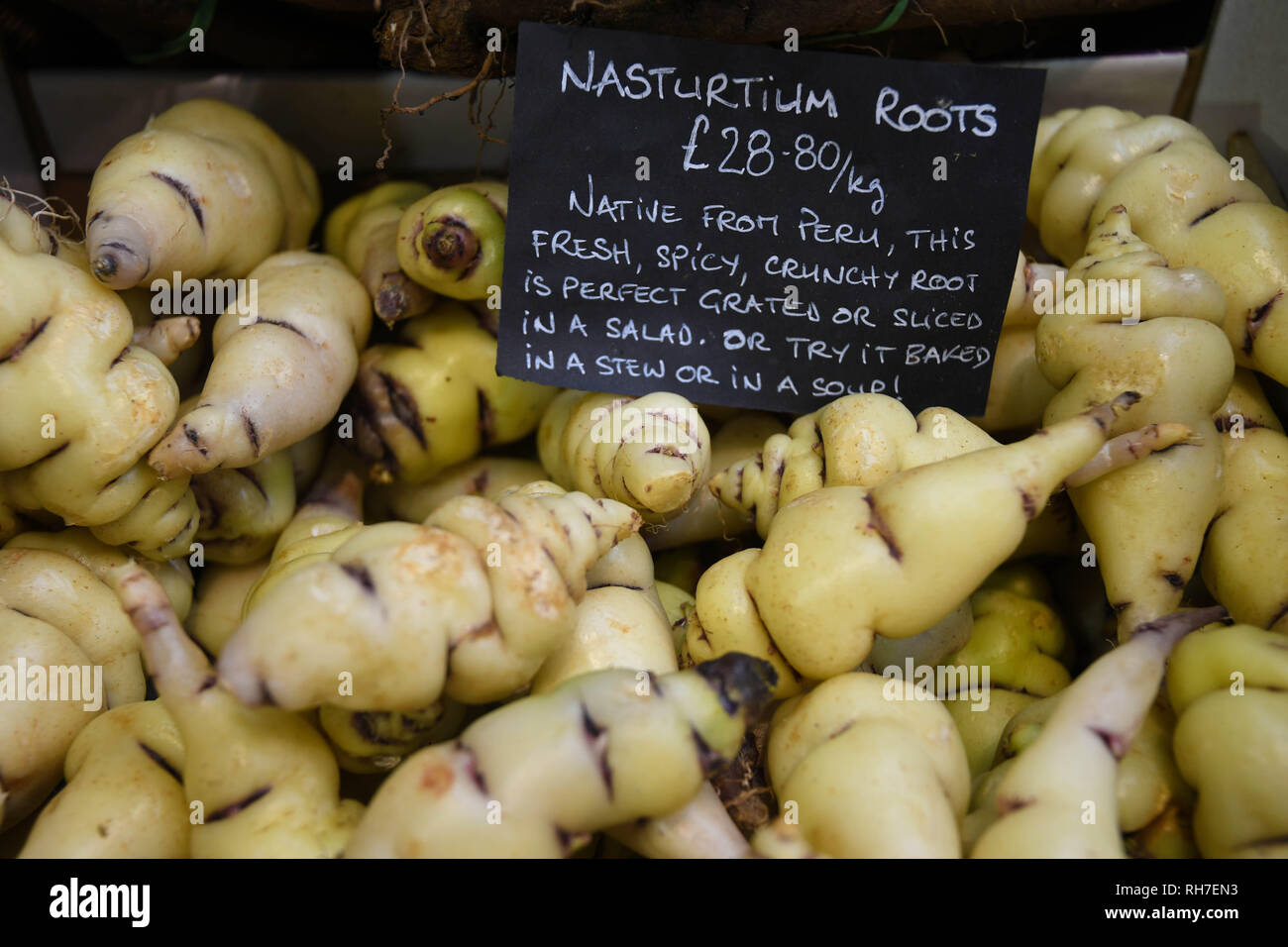 Nasturtium roots hi-res stock photography and images - Alamy