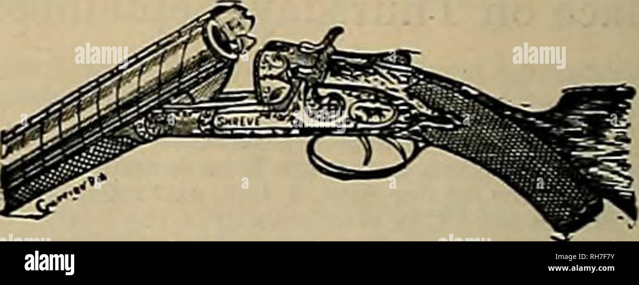 Actual cattle hi-res stock photography and images - Alamy