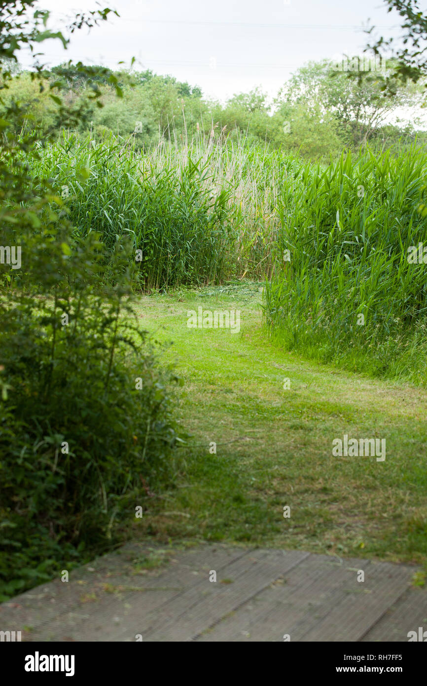Winding garden path hi-res stock photography and images - Alamy