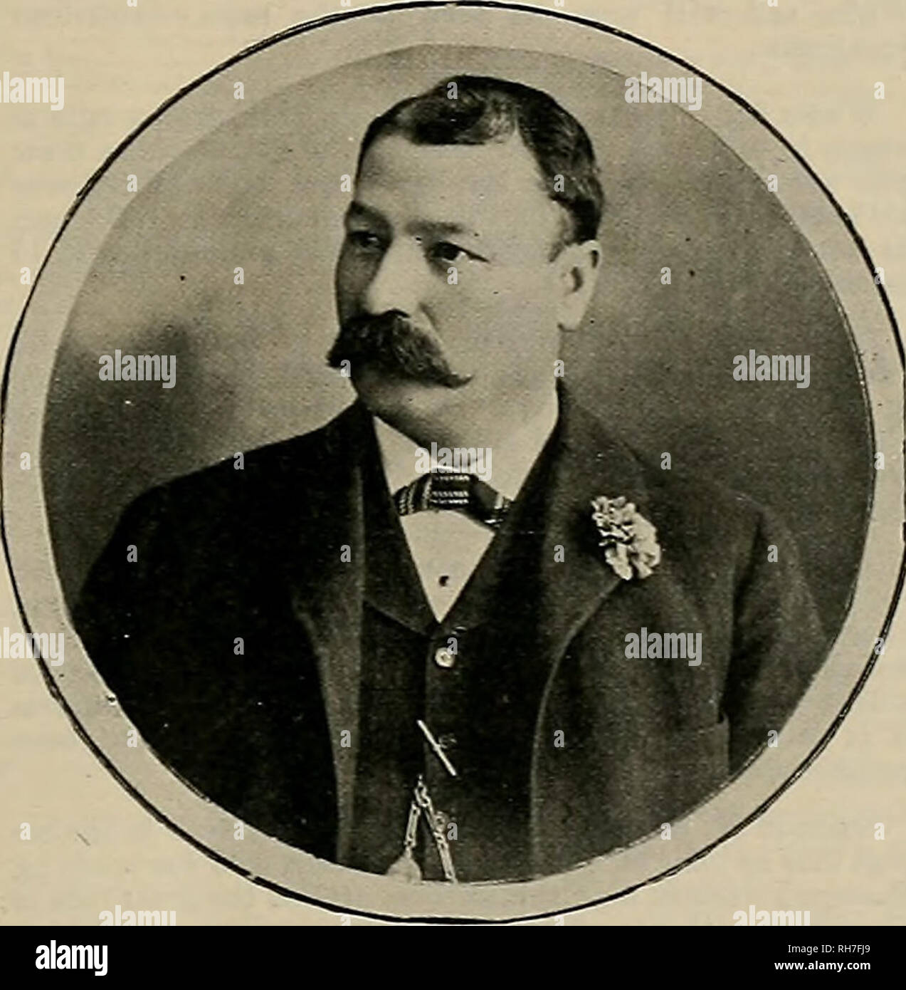 Don simpson hi-res stock photography and images - Alamy