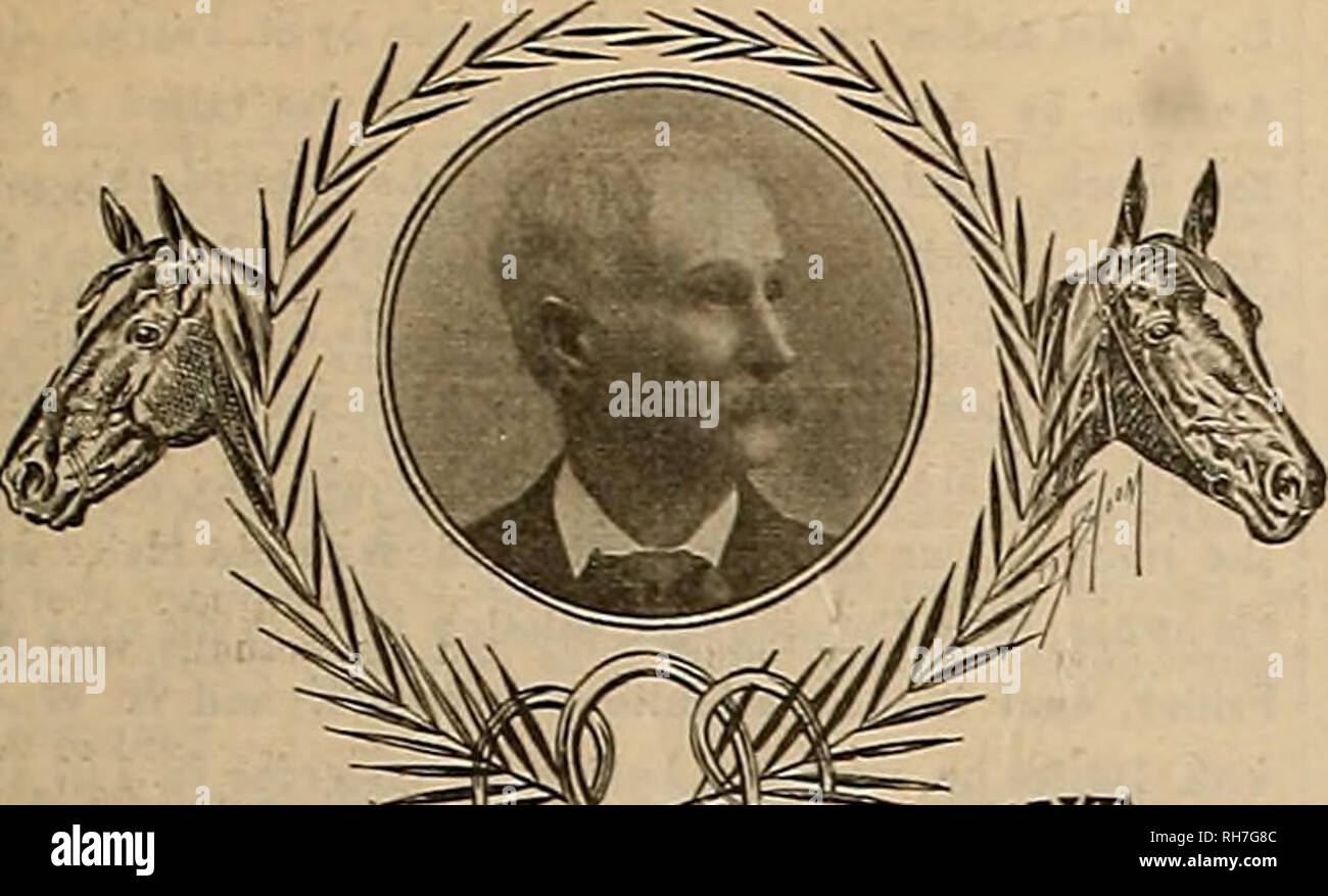 Sinewy muscles hi-res stock photography and images - Alamy