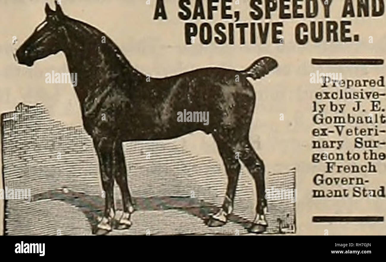 Burns billy joe hi-res stock photography and images - Alamy