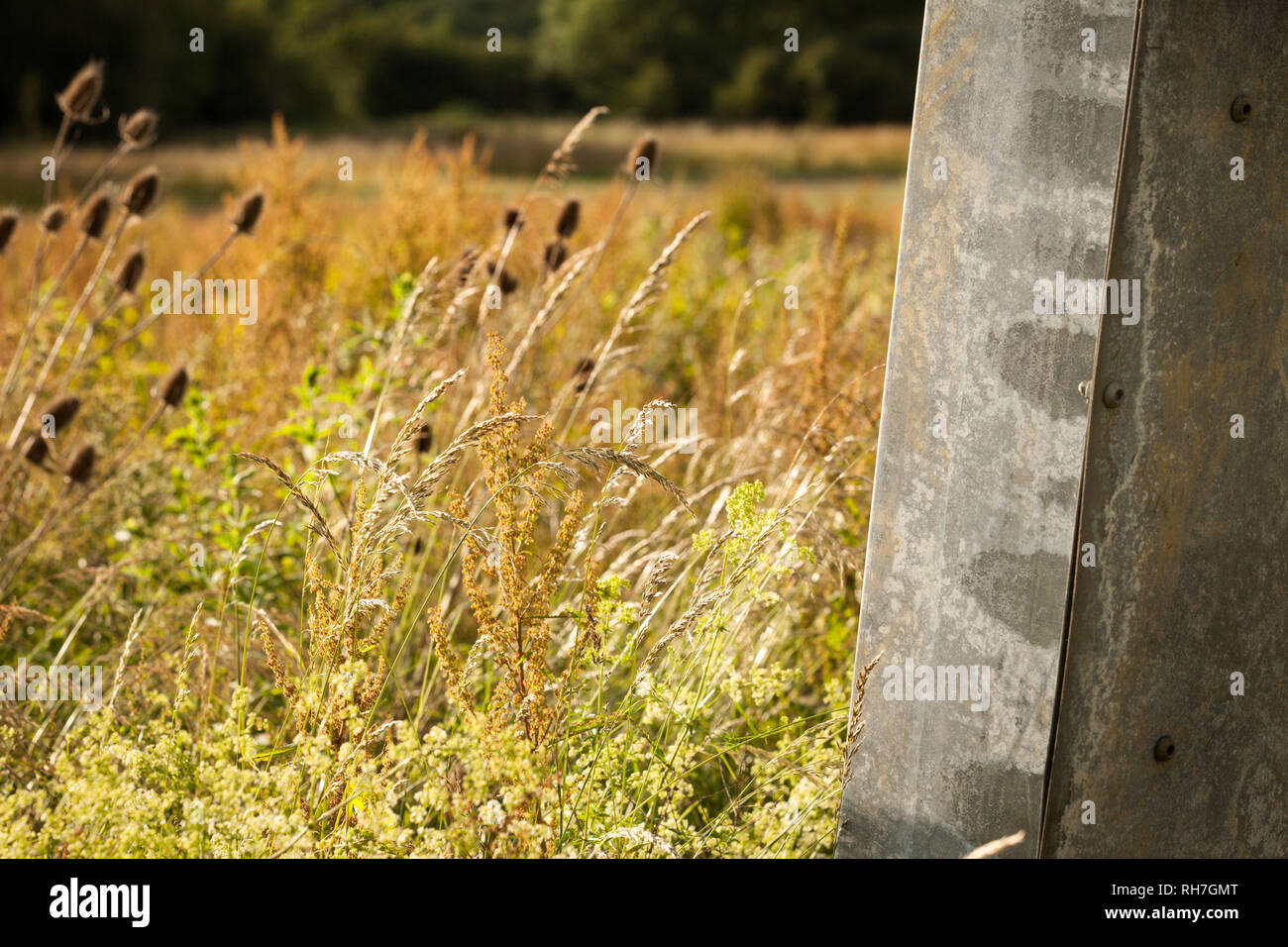 Concrete pylon bollards in English meadow summertime Stock Photo - Alamy