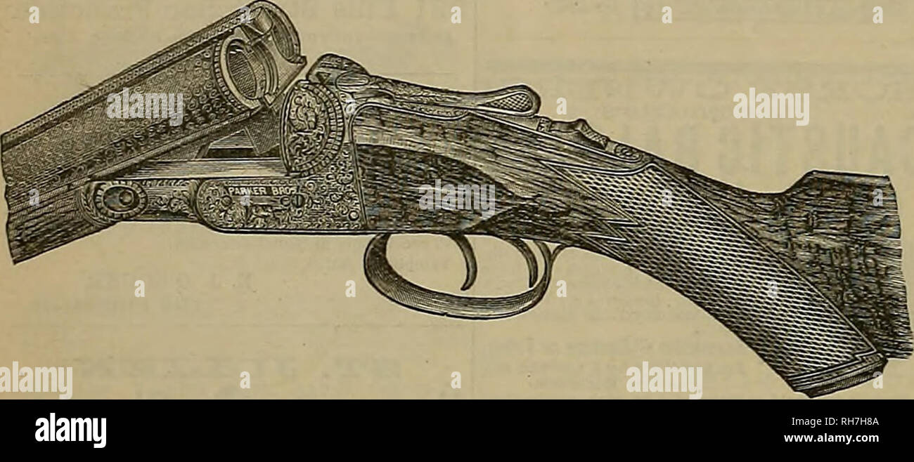 . Breeder and sportsman. Horses. The PARKER Hammerless Shot Gun.. At ...