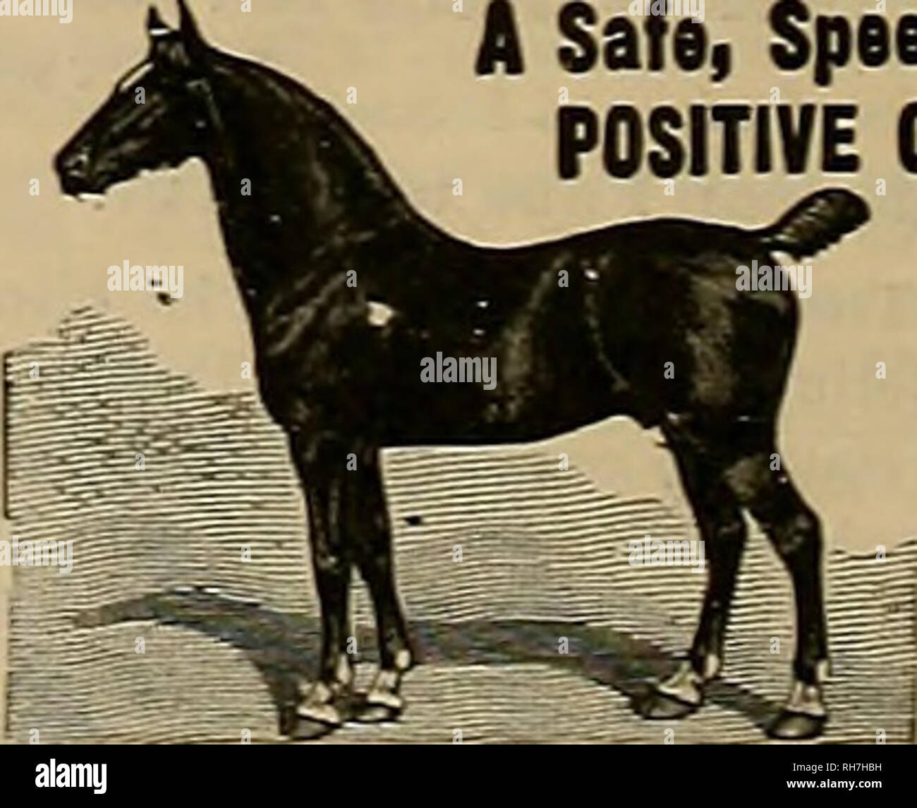 Merriwa road hi-res stock photography and images - Alamy