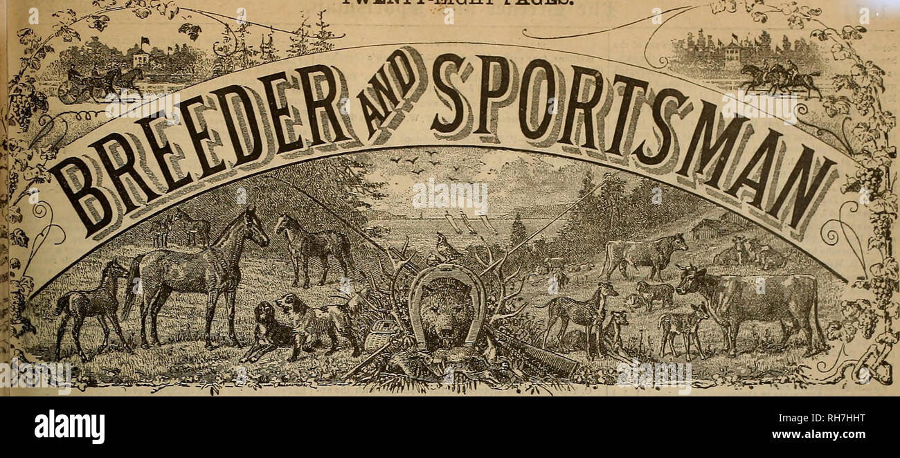 . Breeder and sportsman. Horses. *Â£>=*Â£?Â». TWENTY-EIGHT PAGB6. â¢ft ...