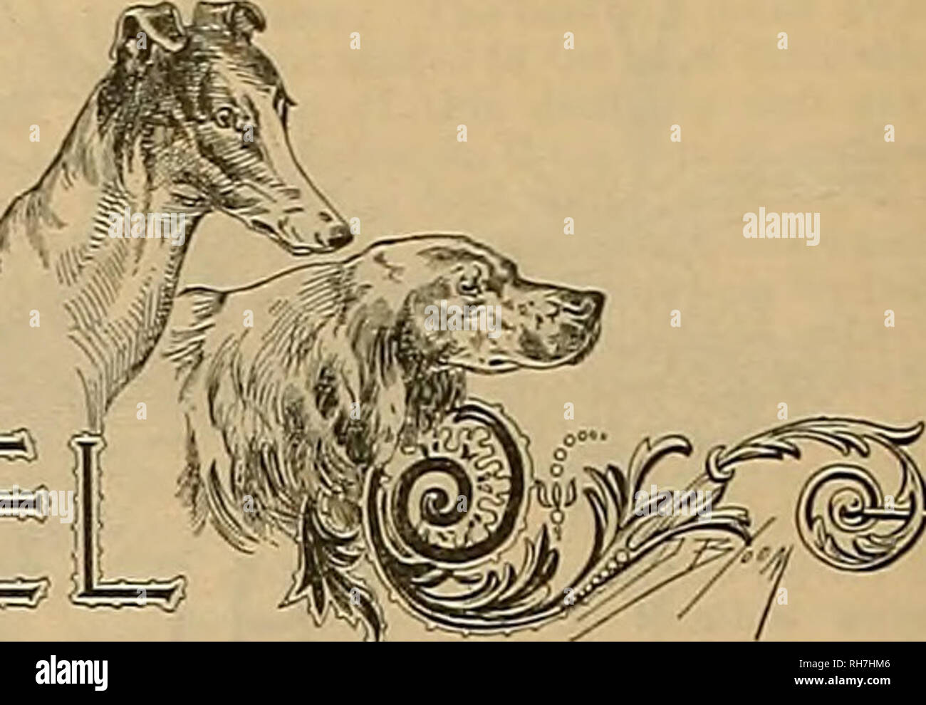 10 pounds scale hi-res stock photography and images - Alamy