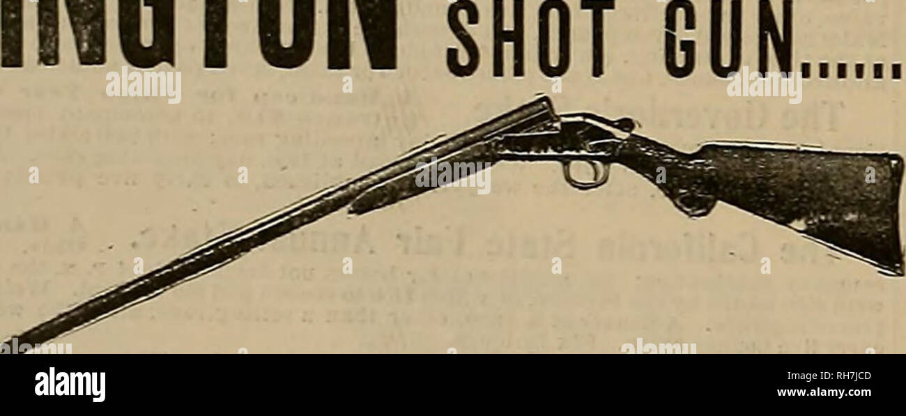 Hundred shooter hi-res stock photography and images - Alamy