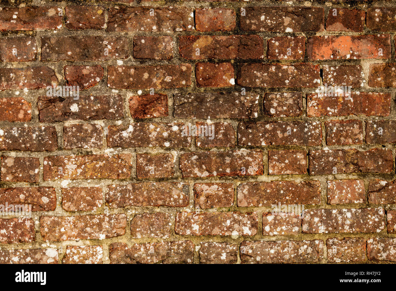 Stone wall with white spots hi-res stock photography and images - Alamy