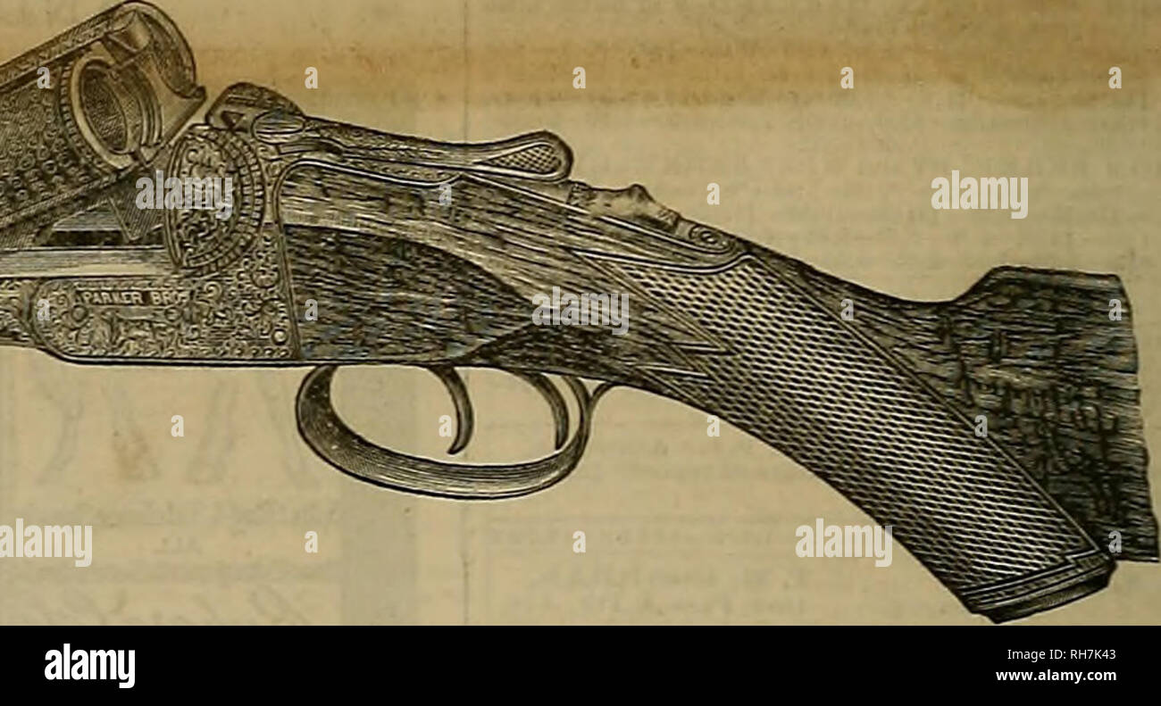 . Breeder and sportsman. Horses. ^ Mf ^ &$'£ /4- The PARKER Hammerless ...