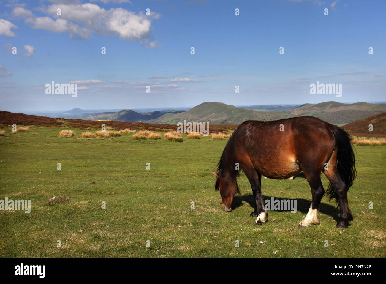 Shropshire countryside view hi-res stock photography and images - Alamy