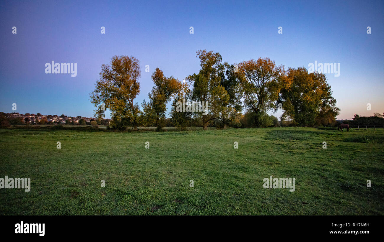 Water meadows sudbury suffolk england hi-res stock photography and ...