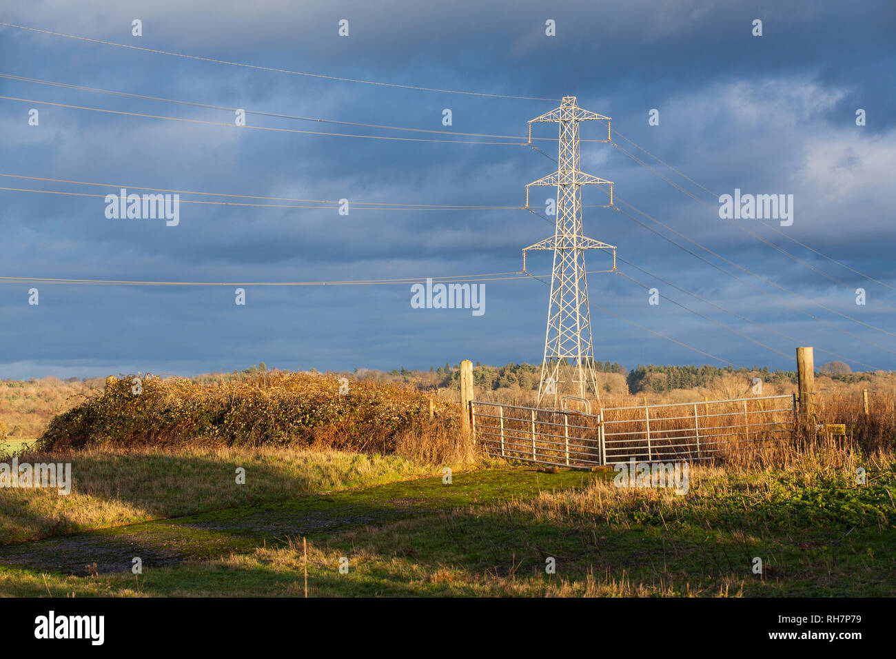Electricity pylon in english countryside Stock Photo - Alamy