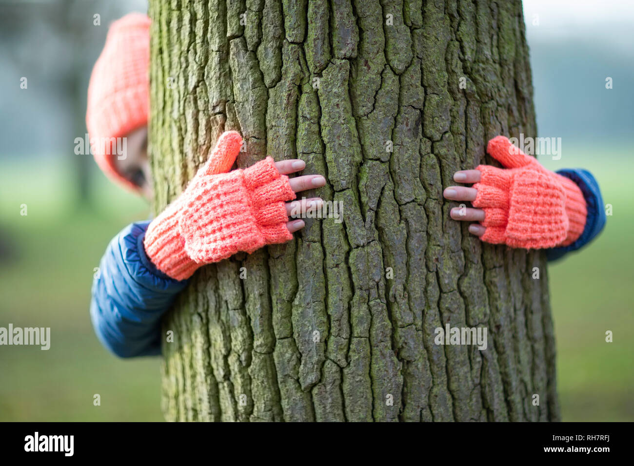 Hugging tree hi-res stock photography and images - Alamy