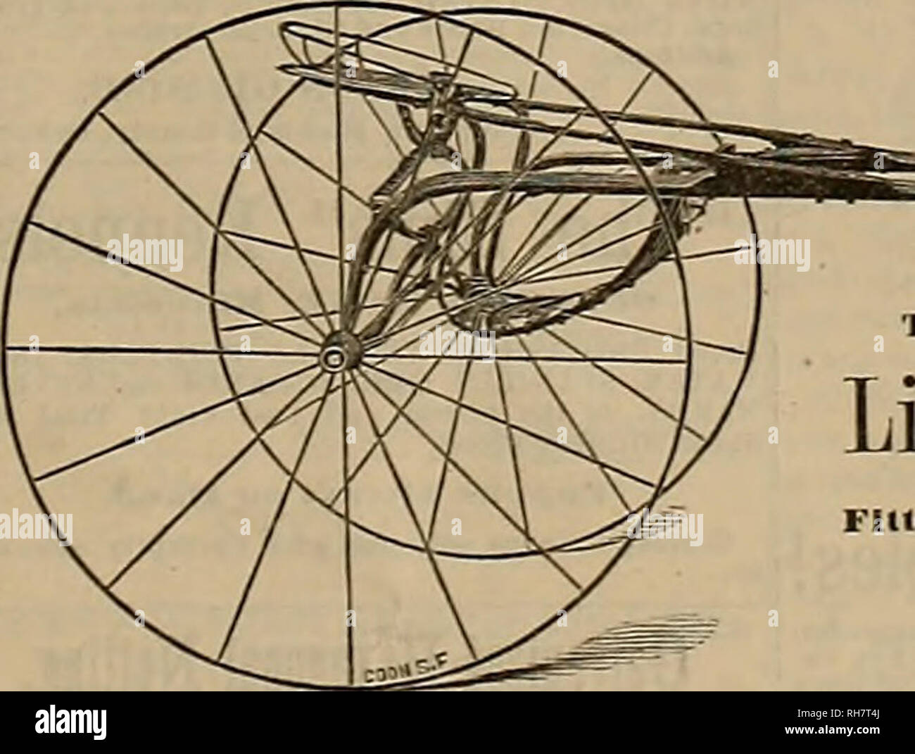 Sulky cat hi-res stock photography and images - Alamy