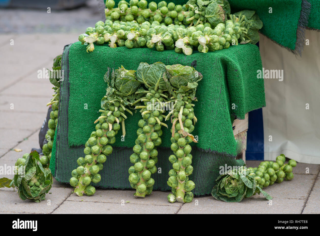 brussels sprouts piled up on a market stall Stock Photo - Alamy