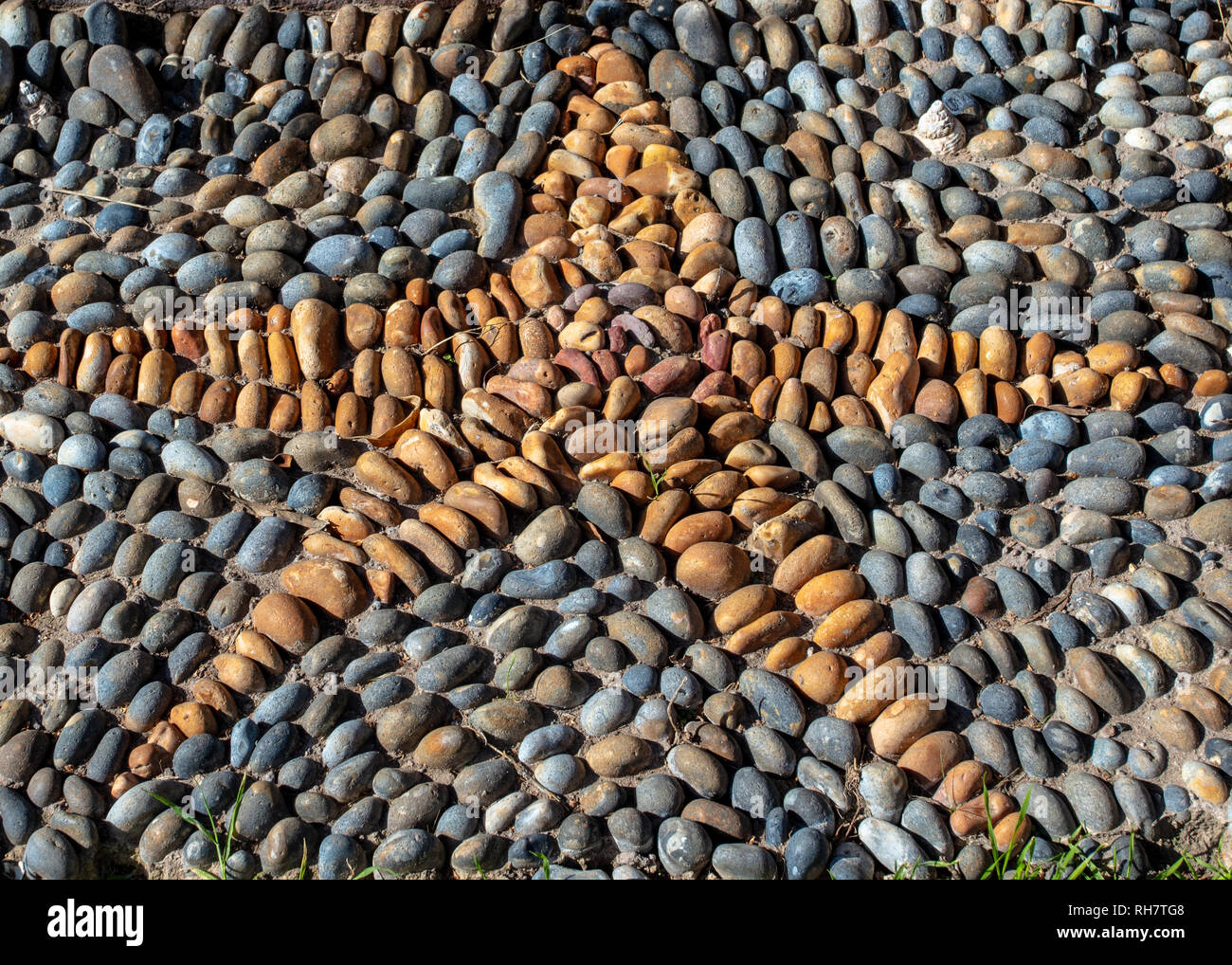 Beautiful sea star stones hi-res stock photography and images - Alamy