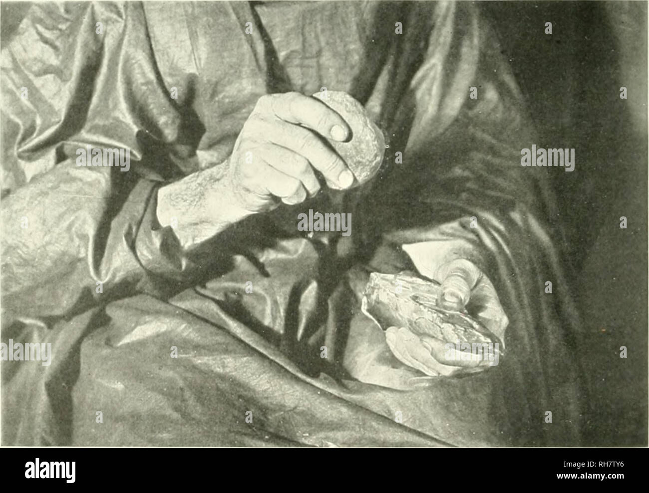 . The brain from ape to man; a contribution to the study of the ...