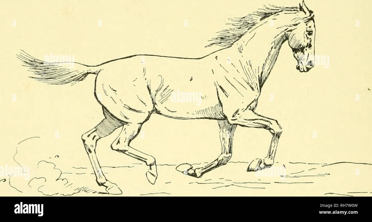 Aoff hi-res stock photography and images - Alamy