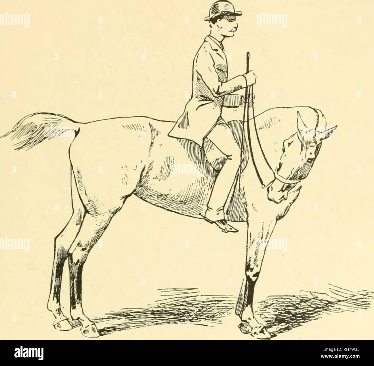 . Breaking and riding. Horses; Horsemanship; Horses. OBJECTS OF LATERAL ...