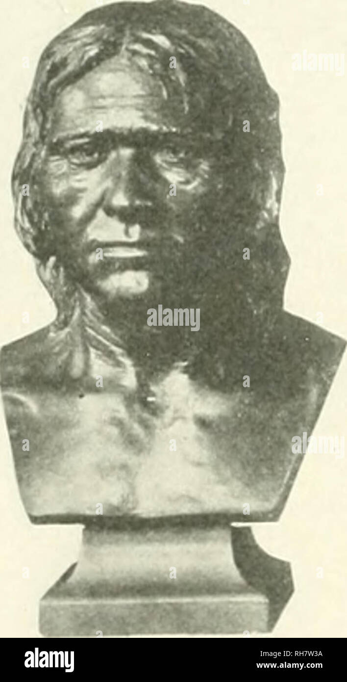 Man ape brain hi-res stock photography and images - Alamy