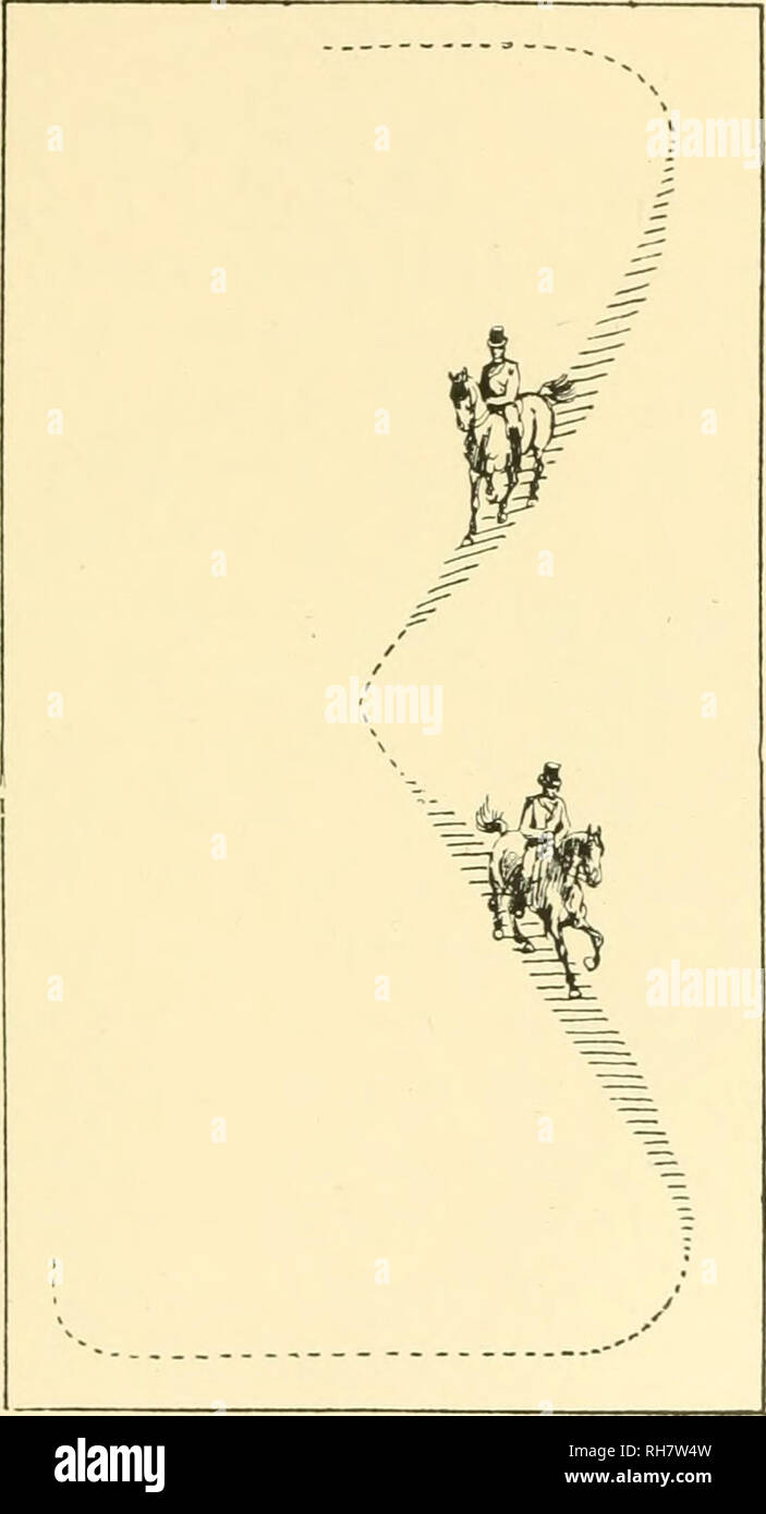 Counter canter hi-res stock photography and images - Alamy