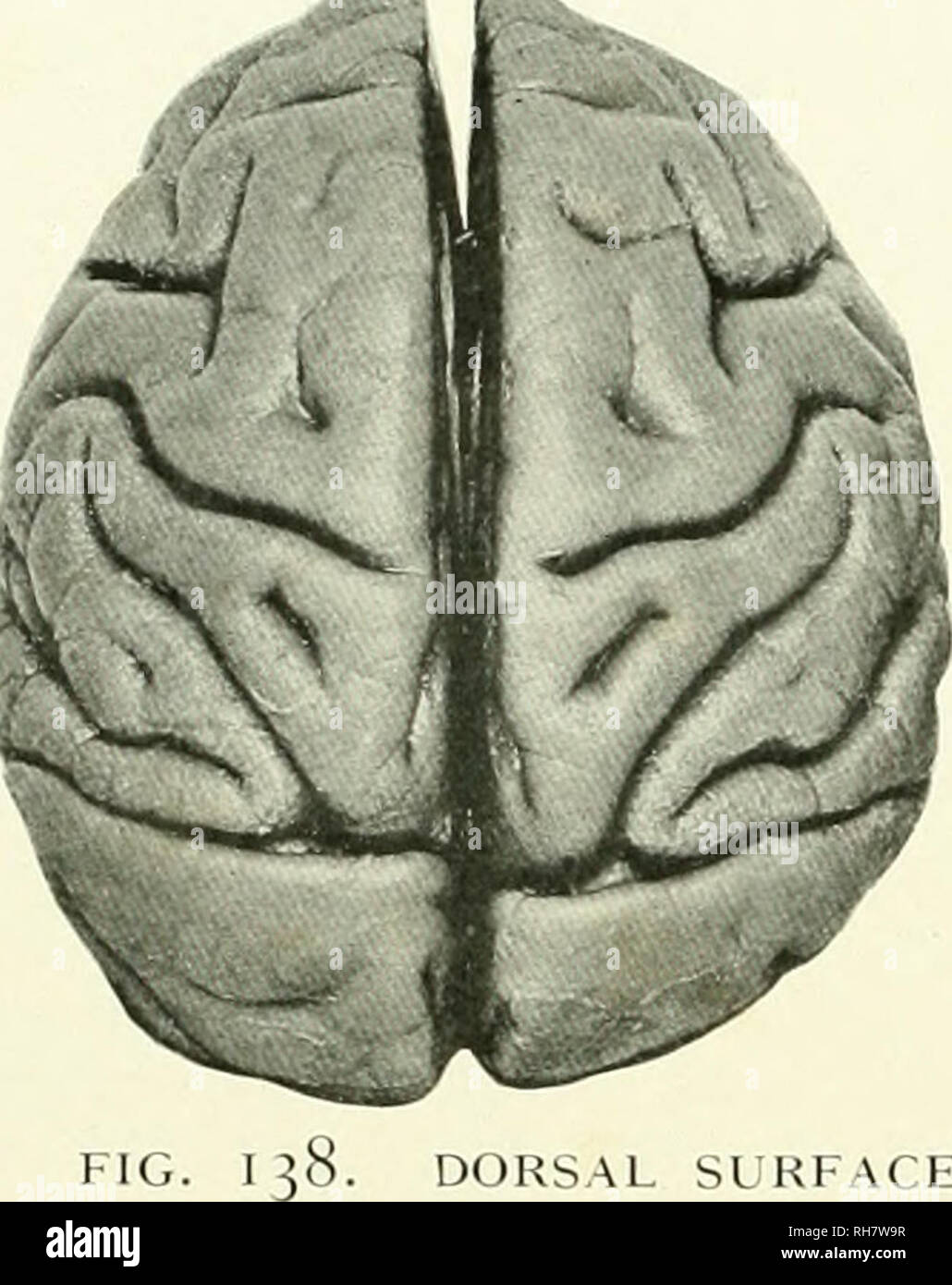 Booksubjectevo hi-res stock photography and images - Alamy