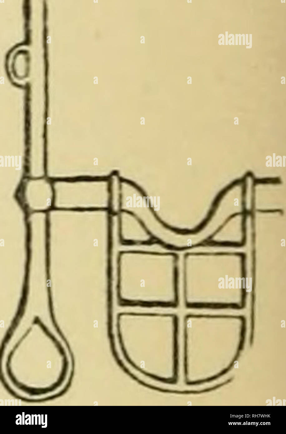 Breeching Strap High Resolution Stock Photography and Images - Alamy