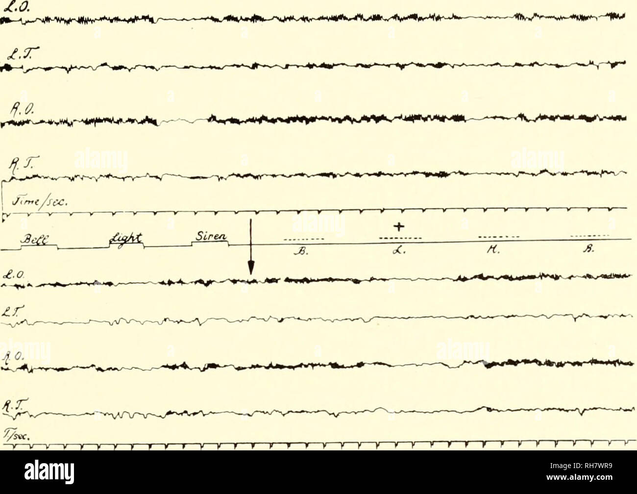 Desynchronization hi-res stock photography and images - Alamy