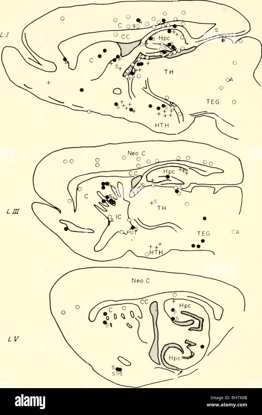 . Brain mechanisms and learning, a symposium. Psychophysiology ...
