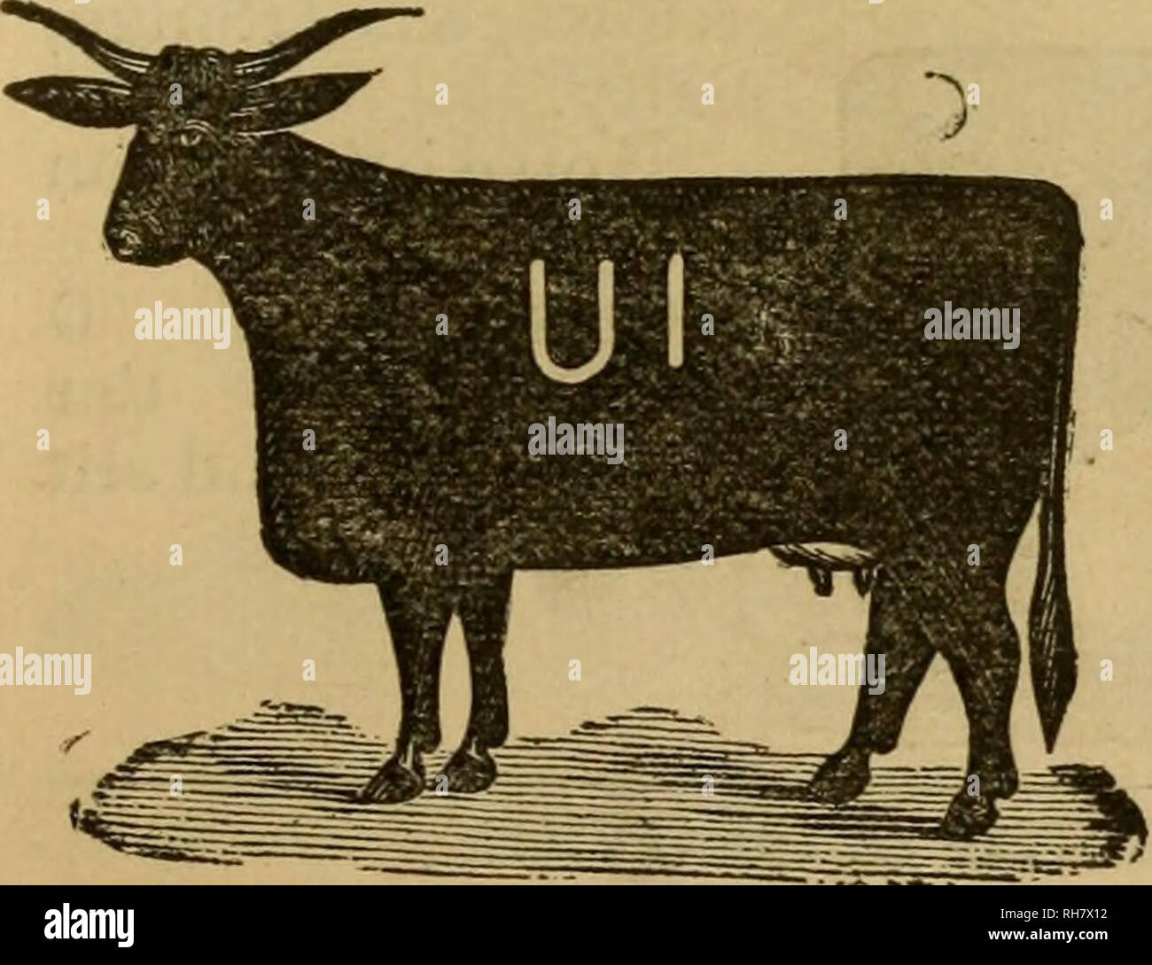 Bar w ranch hi-res stock photography and images - Alamy