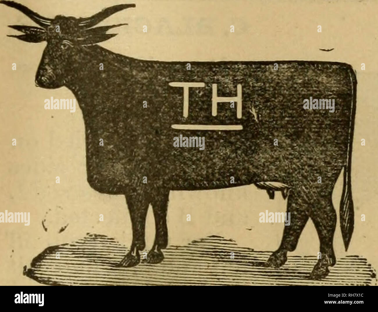 Flying w ranch hi-res stock photography and images - Alamy